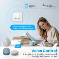China Glomarket Smart Wifi Brazil Standard Smart Home Tuya Smart 4 Gang Switch And Socket Wifi Smart Wall Socket Work With Alexa for sale