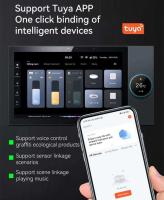 China Glomarket Tuya 10 Inch Central Control Panel With Music Play 2 Gang Relays 2 Way Speakers Multi-functional Smart Home Products for sale