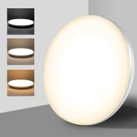 China 24w Tuya Smart Ceiling Light Colorful Rgb Remote Control Smart Light Led Modern Style Music Ceiling Lamb for sale