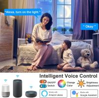 China 24w Tuya Smart Ceiling Light Colorful Rgb Remote Control Smart Light Led Modern Style Music Ceiling Lamb for sale
