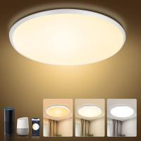 China 24w Tuya Smart Ceiling Light Colorful Rgb Remote Control Smart Light Led Modern Style Music Ceiling Lamb for sale