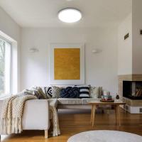 China 24w Tuya Smart Ceiling Light Colorful Rgb Remote Control Smart Light Led Modern Style Music Ceiling Lamb for sale
