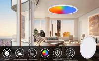 China 24w Tuya Smart Ceiling Light Colorful Rgb Remote Control Smart Light Led Modern Style Music Ceiling Lamb for sale