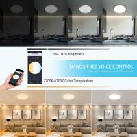 China 24w Tuya Smart Ceiling Light Colorful Rgb Remote Control Smart Light Led Modern Style Music Ceiling Lamb for sale
