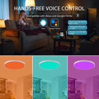 China 24w Tuya Smart Ceiling Light Colorful Rgb Remote Control Smart Light Led Modern Style Music Ceiling Lamb for sale