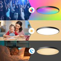 China 24w Tuya Smart Ceiling Light Colorful Rgb Remote Control Smart Light Led Modern Style Music Ceiling Lamb for sale