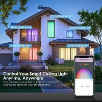 China 24w Tuya Smart Ceiling Light Colorful Rgb Remote Control Smart Light Led Modern Style Music Ceiling Lamb for sale