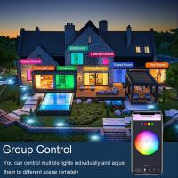 China 24w Tuya Smart Ceiling Light Colorful Rgb Remote Control Smart Light Led Modern Style Music Ceiling Lamb for sale