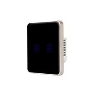 China WiFi 240V 2 Gang Tuya Smart Switch With Google Alexa Voice Control for sale
