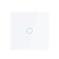 China ODM 1200W Touch Screen Smart Light Switch Wifi Smart Wall Touch for sale