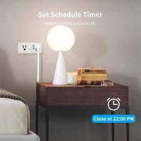 China Tuya Smart US Standard Plug Wifi Plug Works With Alexa And Google Assistant Timing Setting Smart Plug for sale