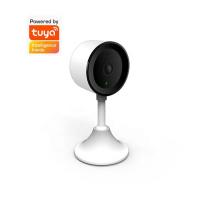 China 100 Degree 2.0MP Tuya Smart Camera Plug In Tuya Camera ONVIF for sale