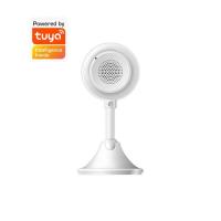 China 100 Degree 2.0MP Tuya Smart Camera Plug In Tuya Camera ONVIF for sale