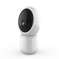 China 1080P Night Vision Tuya Smart Camera WIFI 3G 4G Tuya Onvif Camera for sale