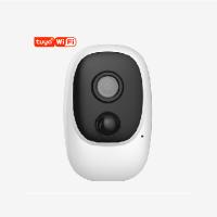 China Remote Control Night Vision Two-way Audio Pir Wify Outdoor Camera Work with Tuya Amazon Google App for sale