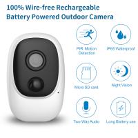 China Remote Control Night Vision Two-way Audio Pir Wify Outdoor Camera Work with Tuya Amazon Google App for sale