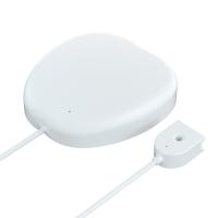 China RoHS Flood Water And Overflow Alarm Tuya Water Leak Sensor 2.4GHz for sale