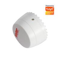 China 95%RH Wifi Enabled Water Leak Detector DC3V Smart Alarm Sensor for sale