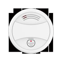 China Tuya Smart Home Energy-saving Battery Power Supply Mobile App Push Wifi Smoke Detector for sale