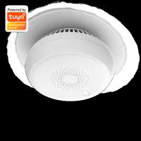 China Plastic Cover Smart Alarm Smoke Zigbee Detector Tuya App Control Household Sensor for sale