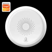 China Plastic Cover Smart Alarm Smoke Zigbee Detector Tuya App Control Household Sensor for sale