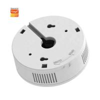China LCD Gas Leak Detector Wifi 2.4GHz Smart Alarm Sensor Wall Mounted for sale