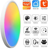 China 24w Tuya Smart Ceiling Light Colorful Rgb Remote Control Led Modern Music for sale
