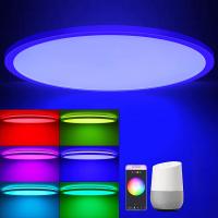 China 24w Tuya Smart Ceiling Light Colorful Rgb Remote Control Led Modern Music for sale