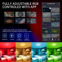 China 24w Tuya Smart Ceiling Light Colorful Rgb Remote Control Led Modern Music for sale