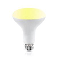 China 850LM RGB Smart WiFi LED Light 6000K 9W Tuya Led Bulb Phone App Control for sale