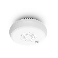 China 3V Battery Tuya Smoke Sensor Zigbee Smart Smoke Detector Fireproof for sale