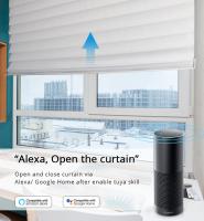 China IP44 40mm Tuya Roller Blind Motor Support Alexa And Google Alexa Voice Control for sale