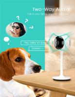 China Manufacturer 1080p Indoor Outdoor Fixed Camera Two Way Audio Smart Motion Detection Mini Camera for sale