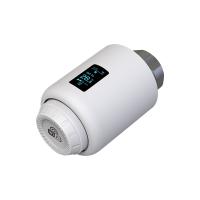 China Glomarket Tuya Version Wi-Fi Smart Oled Display Screen Ultra-Quiet Programmable Thermostatic Radiator Valve for sale