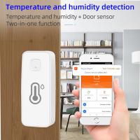 China Glomarket Smart Home EU WiFi Smart Plug  For home automation Works with Google&Alexa Support APP Remote Control for sale