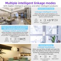 China Glomarket Smart Home EU WiFi Smart Plug  For home automation Works with Google&Alexa Support APP Remote Control for sale