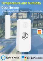 China Glomarket Smart Home EU WiFi Smart Plug  For home automation Works with Google&Alexa Support APP Remote Control for sale
