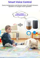 China Glomarket Smart Home EU WiFi Smart Plug  For home automation Works with Google&Alexa Support APP Remote Control for sale