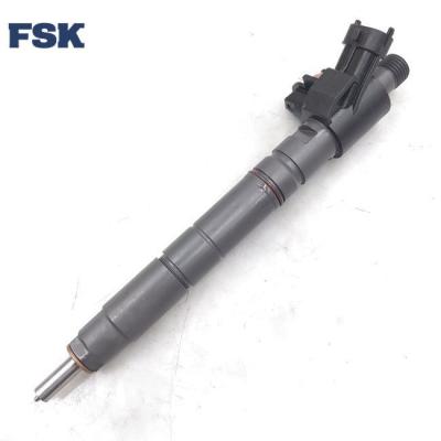 China 0445116067 Original Specification Common Rail Fuel Injector Can Be Directly Replaced for sale