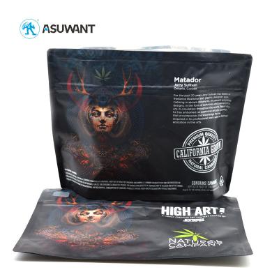 China Medical Child Proof Zipper Bags Door Exit Stand Up Top Zipper For Detergent Pods for sale
