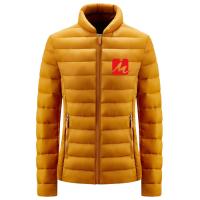 China Down Lightweight Down Jacket City Casual Cotton Collar Pocket Polyester Zipper Jacket Wear Resistant for sale