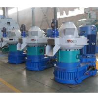 China Biomass Industrial Wood Pellet Machine Stainless Steel for sale