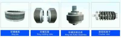 China Low Maintenance Pellet Machine Spare Parts Stainless Steel for sale