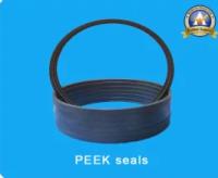 China Antirust Plastic Injection Mold Components Big Diameter Peek Seal Ring for sale