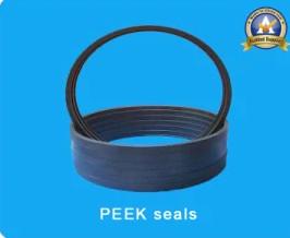 China Antirust Plastic Injection Mold Components Big Diameter Peek Seal Ring for sale