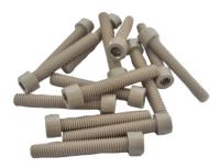 China Cutom Chemical Resistance Peek Bolts for sale