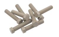 China Anti Corrosion PEEK Machine Screws Bolts M1.2 to M12 Custom Sizes OEM ODM for sale