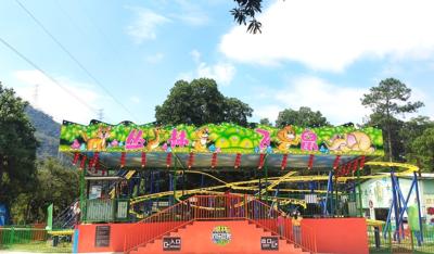 China 10 Seat Jungle Amusement Park Coaster Roller Ride For Kids Anti Corrosion 15KW for sale