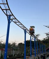 China Streamlined Sky Walker Ride Motor Less Kiddie Ride Amusement Weather Resistance for sale