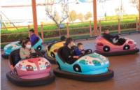 China Commercial Fairground Amusement Ride Bumper Car 230W Anti Collision for sale